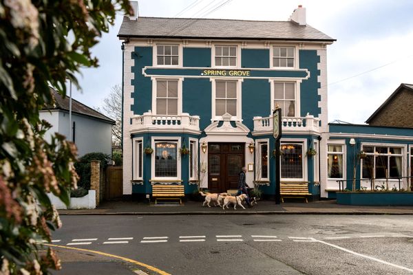 Pub & Restaurant in Kingston | Spring Grove | Young's Pubs